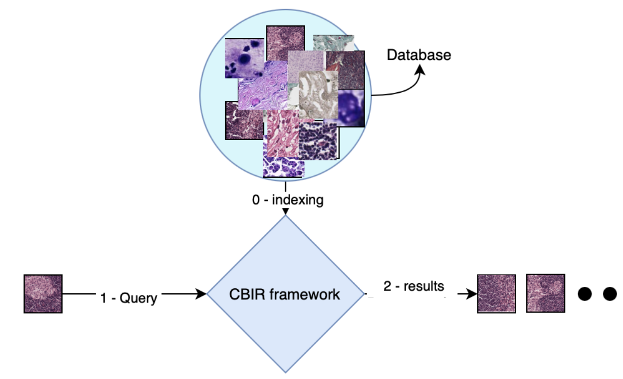 Content-based image retrieval | Cytomine Research @ ULiège