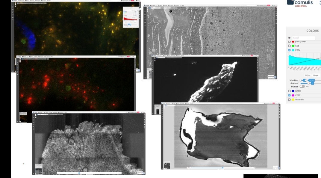 Algorithms and web user interfaces for multimodal datasets | Cytomine ...